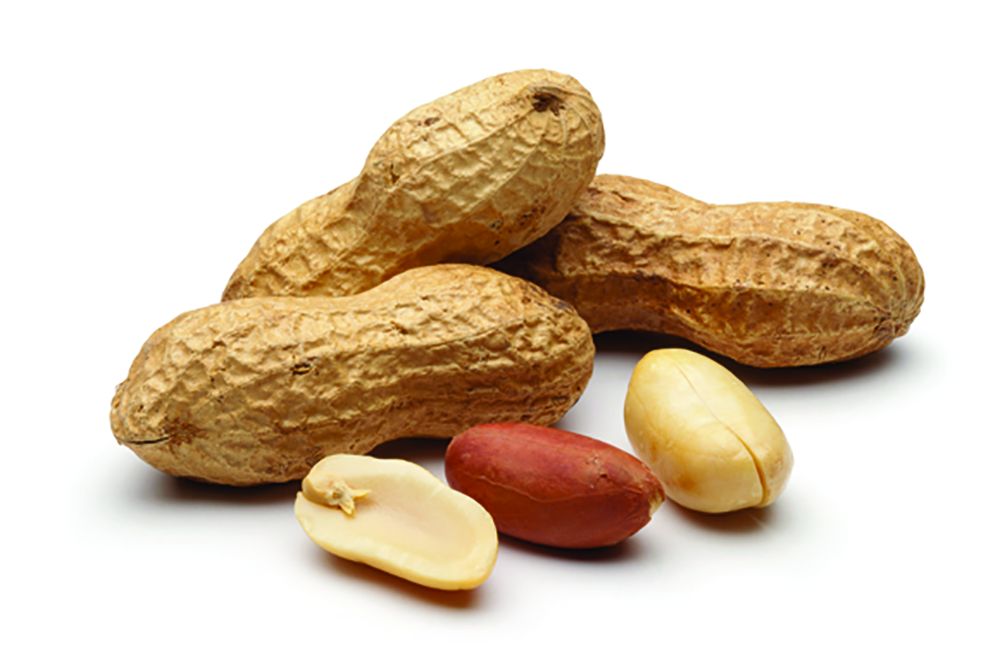 New help for peanut allergies - The Hospitalist