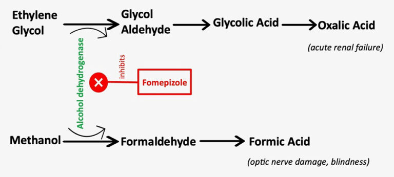 Bridging the Gap: How Do You Interpret an Osmolal Gap? - The Hospitalist